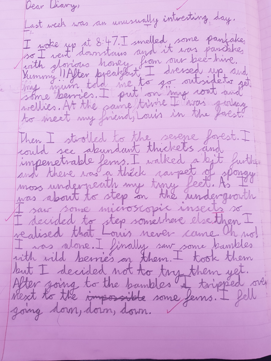 Year 3 - St Theresas School